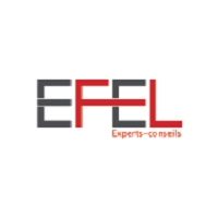 Efel experts-conseils